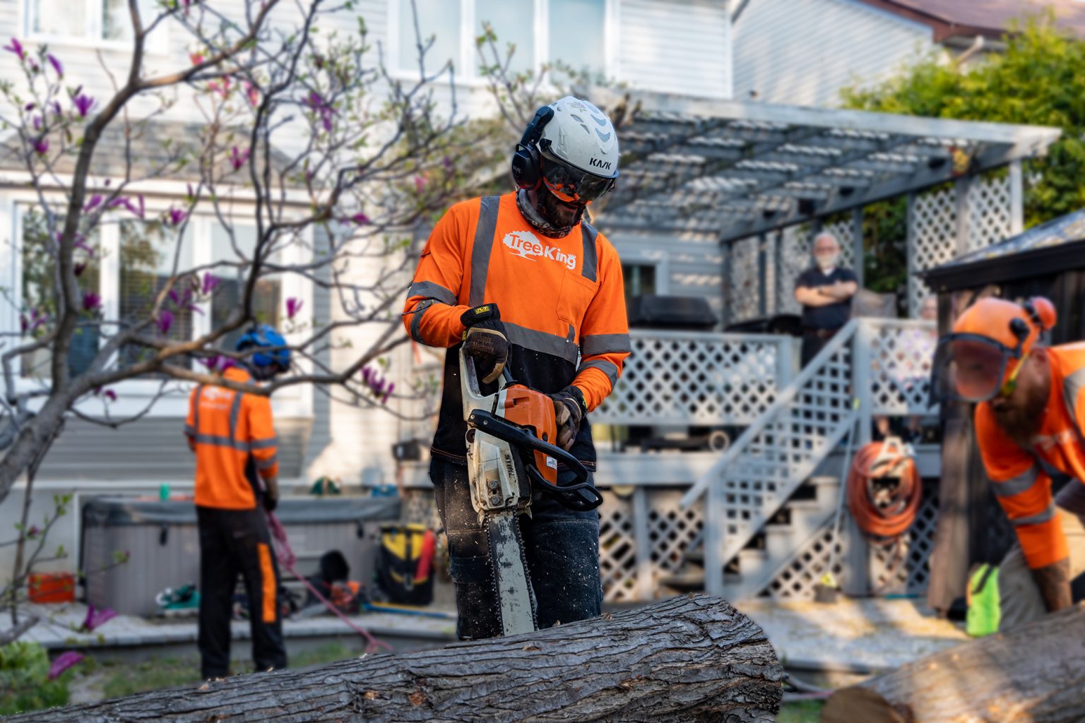 Professional Tree Services Ottawa | Reliable Arborist Solution